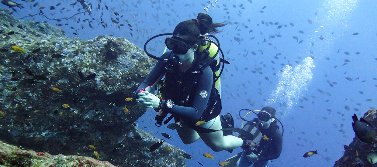 Poseidon Diving Sri Lanka PADI Five Star Dive Centre Hikkaduwa & Trinco
